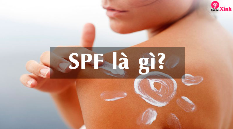 SPF là gì? Kem chống nắng có chỉ số SPF càng cao thì càng tốt?